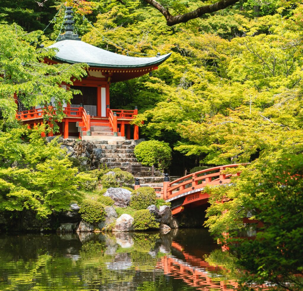 Japan Yoga Retreat | Practice in Japan with Tate Englund