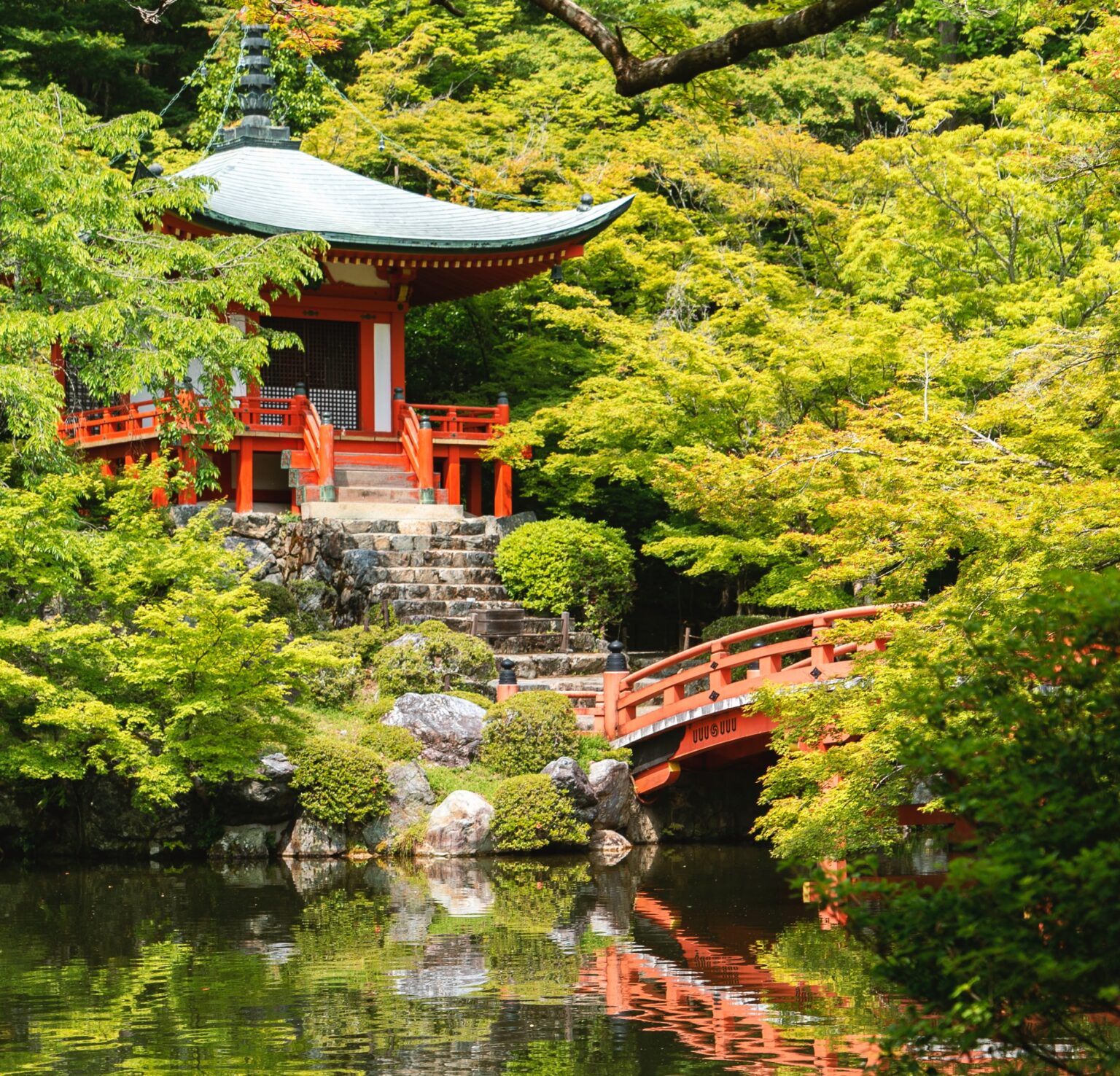 Japan Yoga Retreat | Practice in Japan with Tate Englund